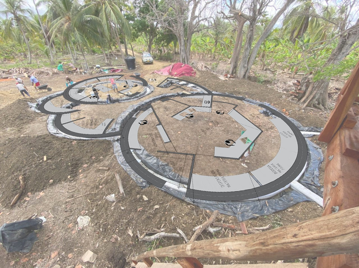 Nuestro Lab – COCO SALVAJE