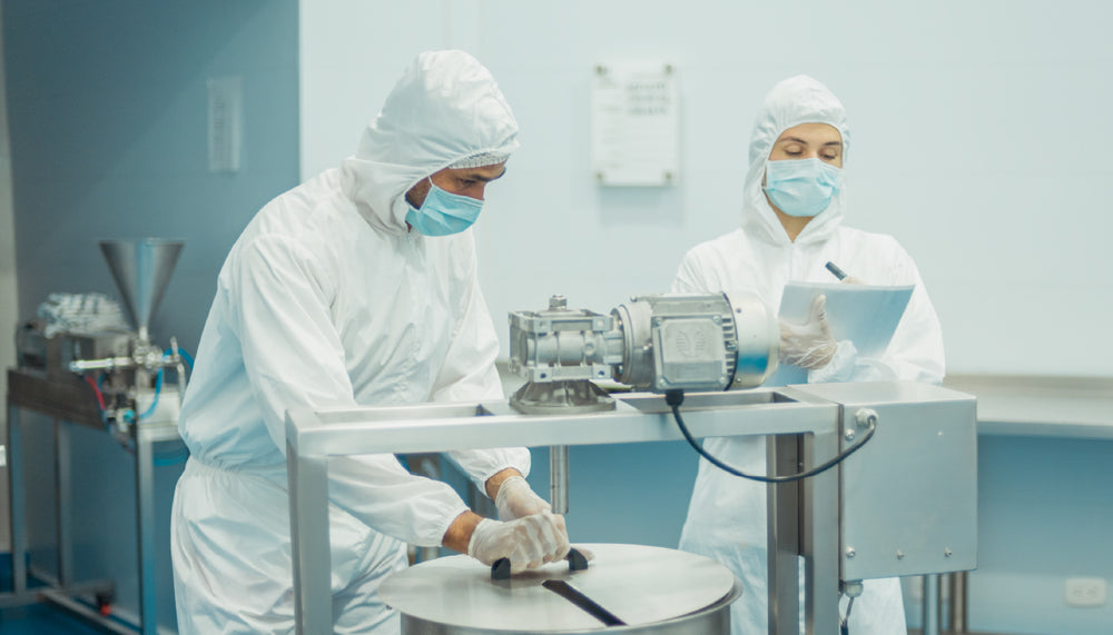 Nuestro Lab – COCO SALVAJE