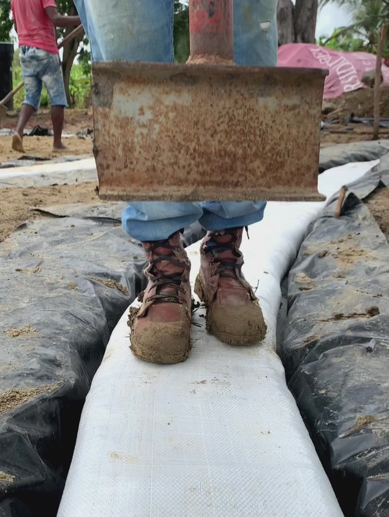 Nuestro Lab – COCO SALVAJE